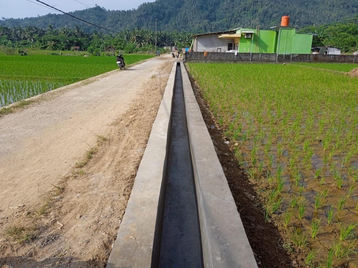 PEMBANGUNAN SALURAN IRIGASI TERSIER,PROGRAM KETAHANAN PANGAN 2024 ...